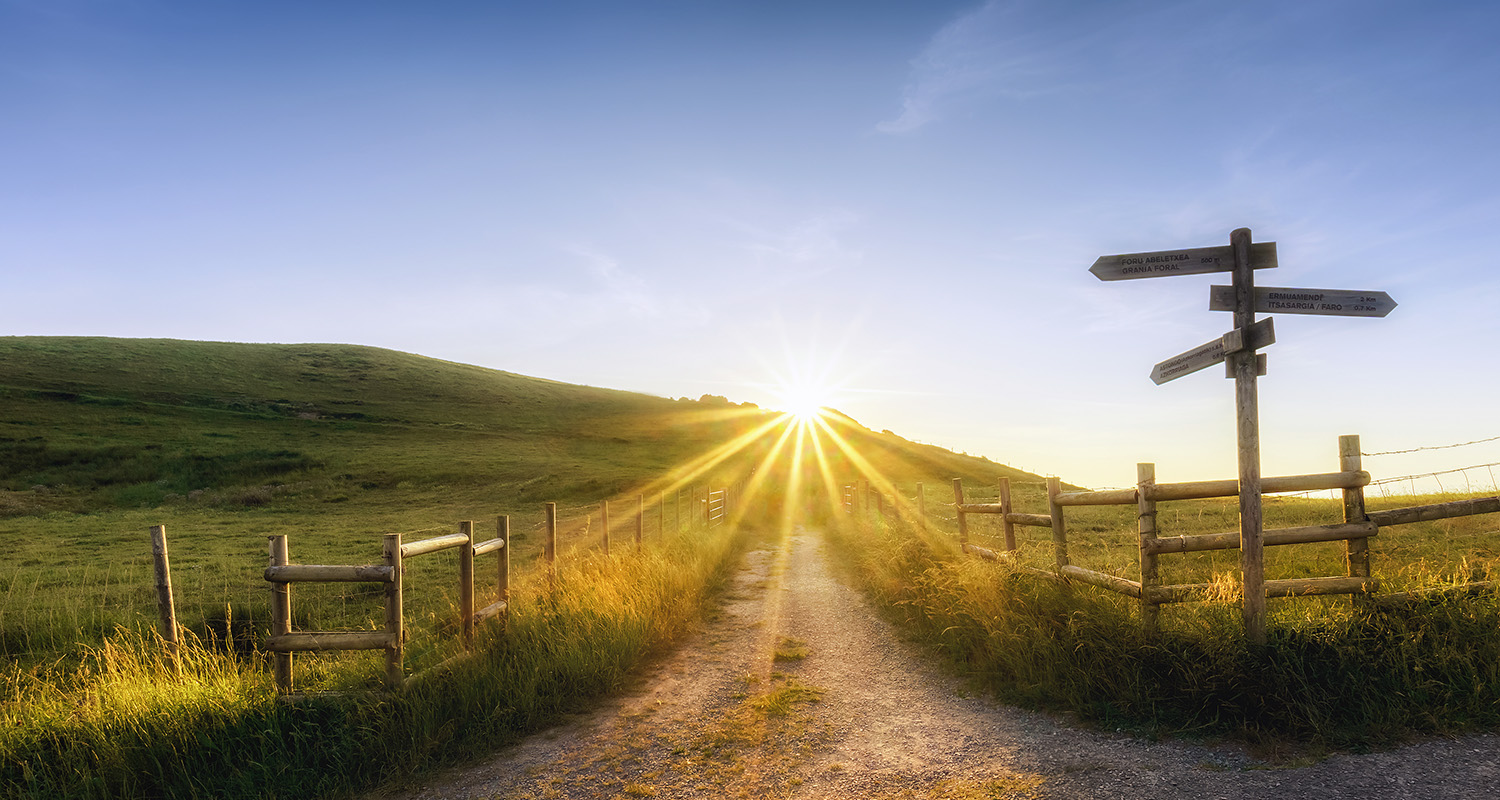 Discernment Counseling - Get clarity on your relationship